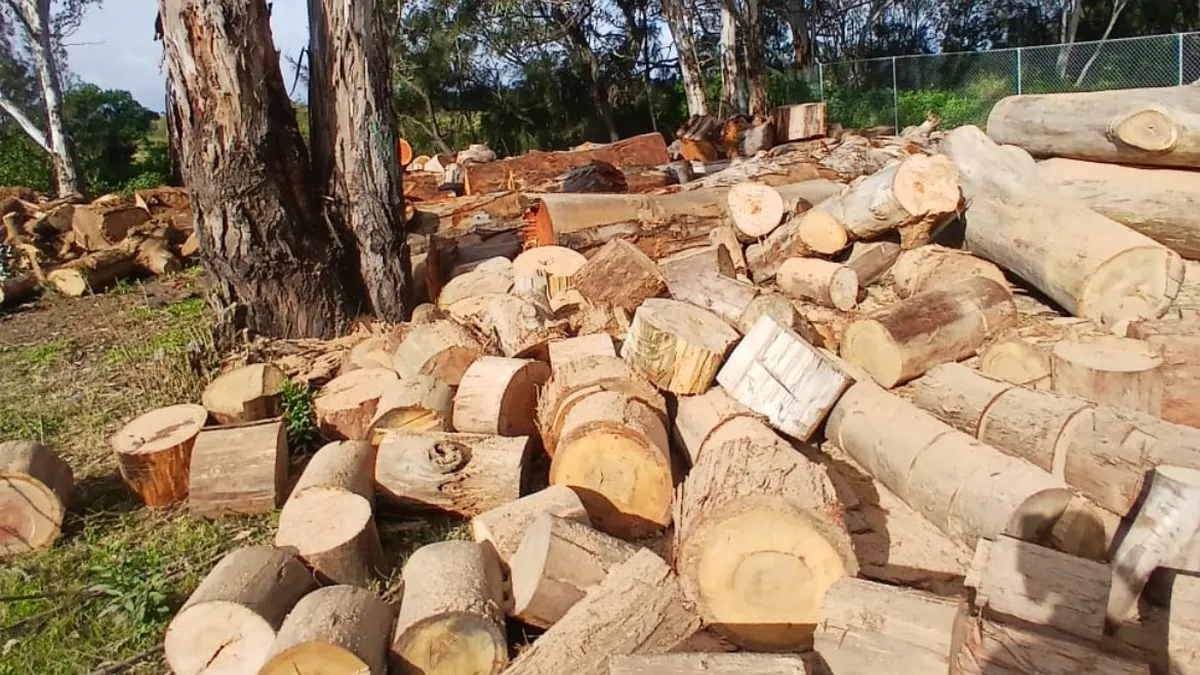 Firewood | Quality Wood Delivered | Trees Down Under
